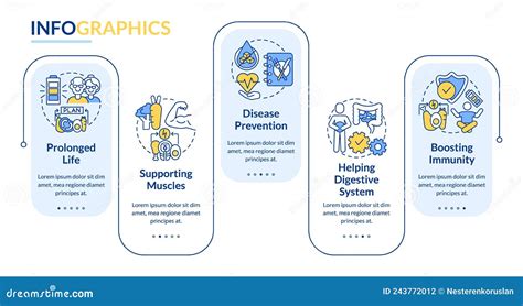 Diet Advantages Rectangle Infographic Template Stock Vector Illustration Of Icon Step 243772012