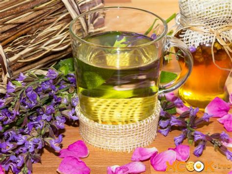 Шалфей для лица – полезные свойства и народные рецепты