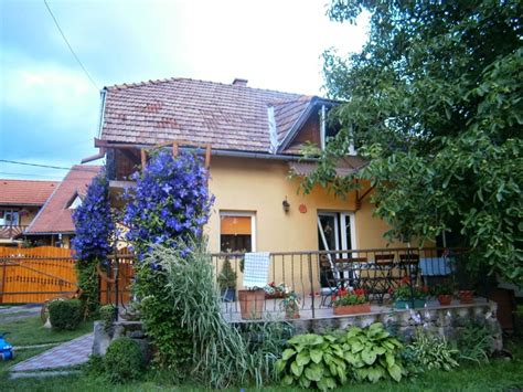 Sovata Praid Plusuri și Minusuri Ioana Spune