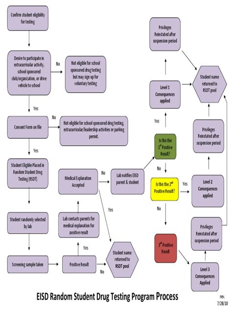Flowchart Program Process Pdf Drug Test
