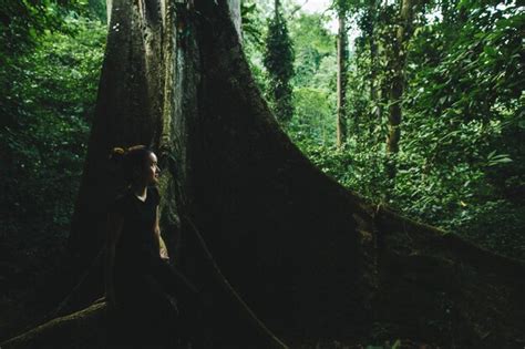 Premium Photo Woman Sitting On Tree Root In Forest
