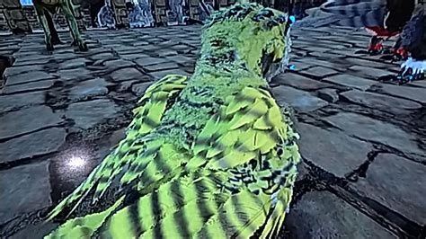 Beggining The Owl Breeding R ARK