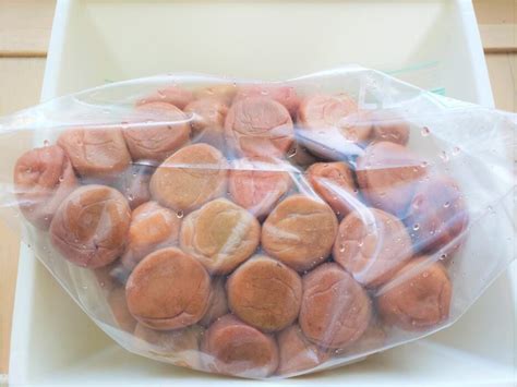 家にあるもので簡単に作れる！初めてでも失敗しない梅干しの作り方 旅してる？