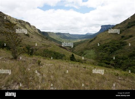 Forest Landscape Vale Do Paty Chapada Diamantina Bahia Brazil