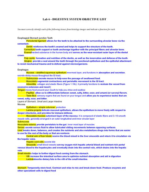Lab 6 Digestive System Objective List Lab 6 Digestive System
