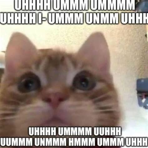 Stream Ur Cute By Nderwav2 Listen Online For Free On Soundcloud