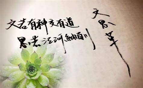 秋海棠民國史地 Glimpses Of 秋海棠民國史地 Glimpses Of Modern China