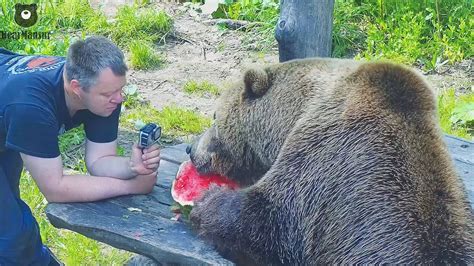 Ура! Началось арбузное лето🐻🍉 - YouTube
