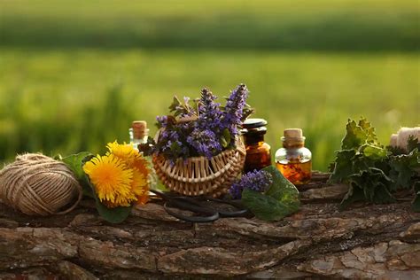 The History Of Aromatherapy Purodem
