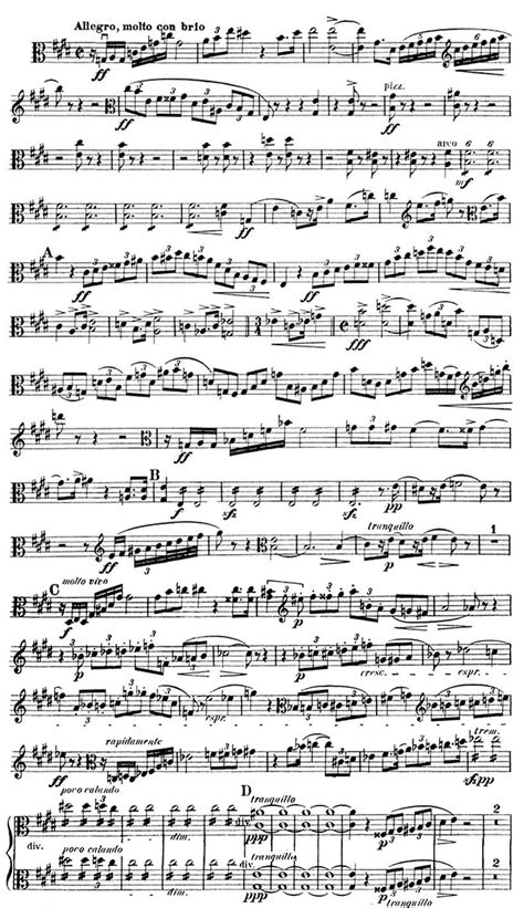 Viola Strauss Don Juan Op 20 Beginning Until Reh D Orchestra