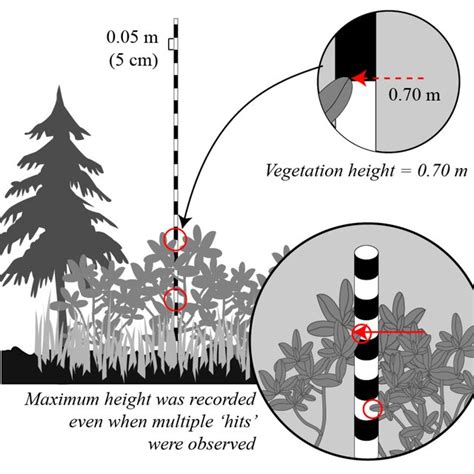 Vegetation Height Measurement At A Sample Point Modified From 34
