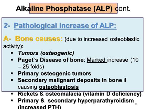 Liver Function Tests Lfts Ppt Video Online Download
