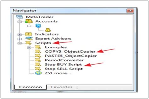 Script Là Gì Định Nghĩa Script Và Phân Biệt Với Ngôn Ngữ Lập Trình