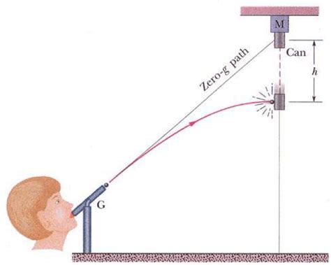 How Not To Shoot A Monkey Video Analysis Of A Classic Physics Problem