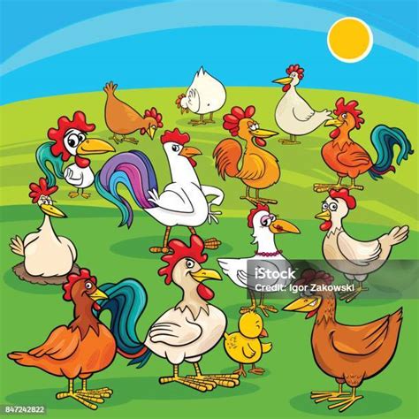 卡通雞農場動物組向量圖形及更多卡通圖片 卡通 童話故事 雞 鳥 Istock