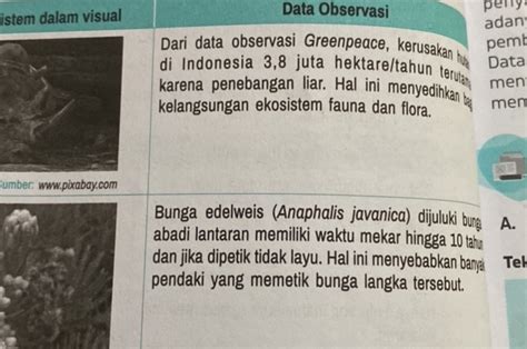 Istem Dalam Visual Data Observasi Dari Data StudyX