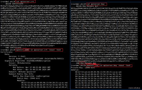 Kubernetesapiserver证书02k8s内部交互架构和所有证书apiserver证书 Csdn博客