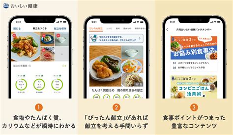 糖尿病性腎症、慢性腎臓病（ckd）ステージ3bの方に向けた食事支援機能を提供開始