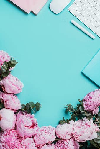 흰색 컴퓨터 키보드 마우스 모란 꽃 파란색 배경에 유칼립투스 꽃 맨 위 보기입니다 공간을 복사합니다 플랫 레이 여성스러운 작업