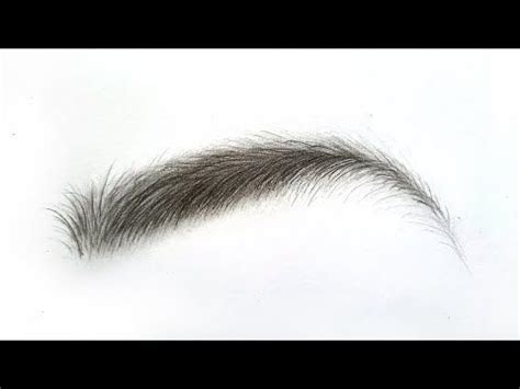 How To Draw Realistic Eyebrows For Beginners Step By Step Tutorial YouTube Realistic