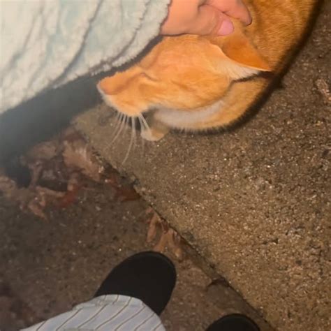 Rebeca V Threads Say More