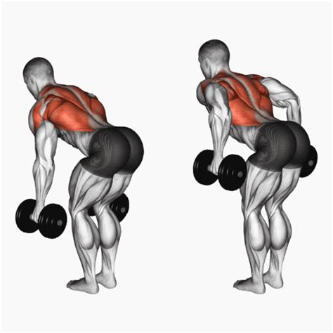 13 Dumbbell Lat Exercises To Beef Up Your Back Workout