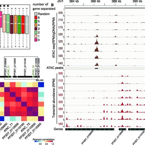 Multiple Regulatory Elements Are Involved Together To Regulate