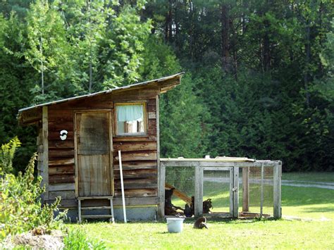 Backyard Chicken Coop Home Designer Suite 2019