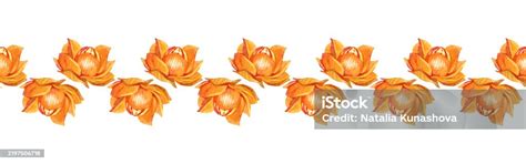 흰색 배경에 수채화 머리 튀김 꽃 Trollius와 완벽 한 테두리 오렌지 여름 야생화 아로마 테라피와 꽃다발을 위한 허브 패턴 벽지 또는 포장을 위한 식물 테두리 0명에