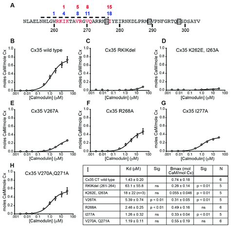 Mutational Analysis Of The Cx35 C Terminal Calmodulin Binding Site A Download Scientific