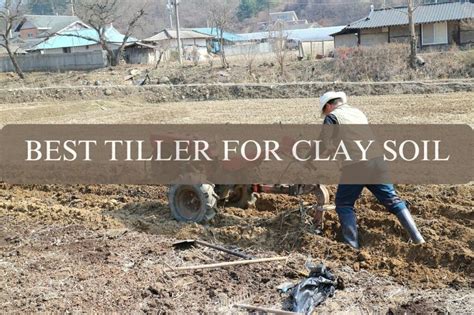 Tillers For Clay Soil At June Blackwell Blog