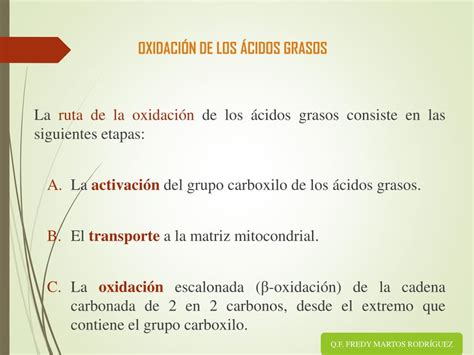 PPT OXIDACIÓN DE ÁCIDOS GRASOS PowerPoint Presentation free download