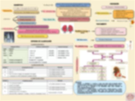 SOLUTION Insuficiencia Renal Aguda Studypool