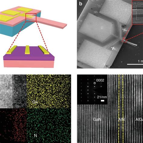 Characterizations Of The SPD A Schematic Illustration Of The SPD With Download Scientific