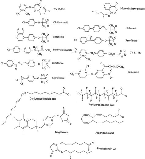 Various Peroxisome Proliferators And Ppar Ligands Shown Are A Variety Download Scientific