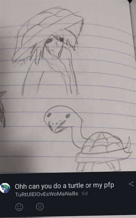 Ny Ohh Can You Do A Turtle Or My Pfp Turtujeioveswomanabs Ifunny