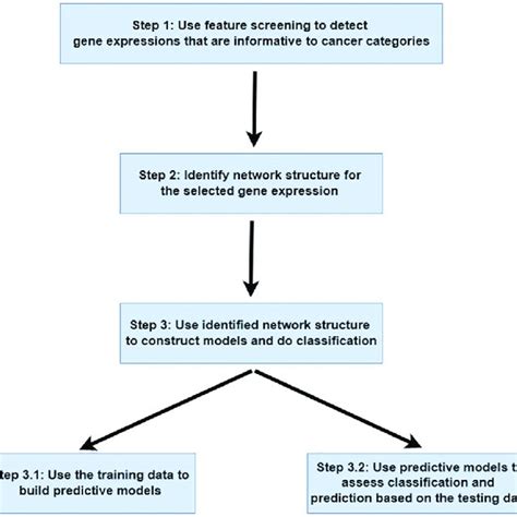 summary of key steps for the proposed classification method via
