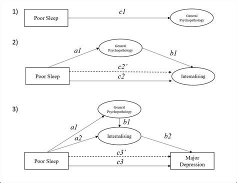 Path Diagram Of Example Model Examining Total Direct And Indirect