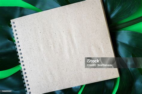 ノートブックを開く緑色の植物の背景の上面図 からっぽのストックフォトや画像を多数ご用意 からっぽ カラー画像 クローズアップ