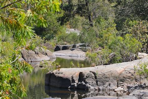 Alligator Creek Picnic Ground And The Walk To Cockatoo Creek