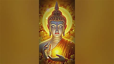 🍀 အပူသောက 🍀အရှင်အဂ္ဂဉာဏcrd Buddhistory သာသနာ့ဝန်ထမ်းရှင်ရဟန်း