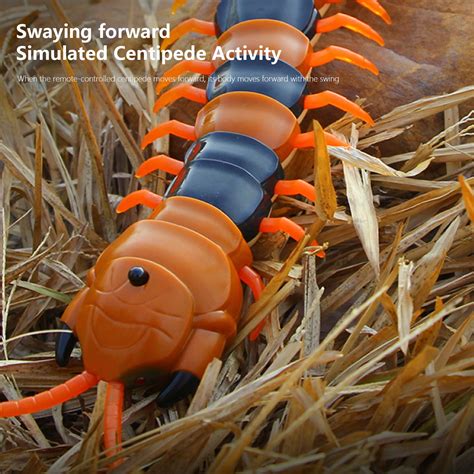 Simulation Rc Centipede Scolopendra Realistic Remote Control Vehicle