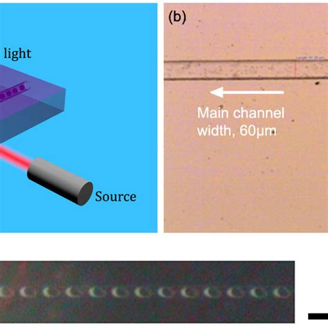 A Schematic Illustration Of The Optofluidic Flow Rate Sensing Device