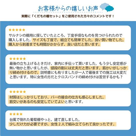 Daim 果樹棚 くだもの棚セット Kt M 120 パーゴラ ガーデンアーチ 藤棚 果樹棚 果物棚 キウイ棚 ぶどう棚 送料無料 39419 メーカー直販 Daim Yahoo 店