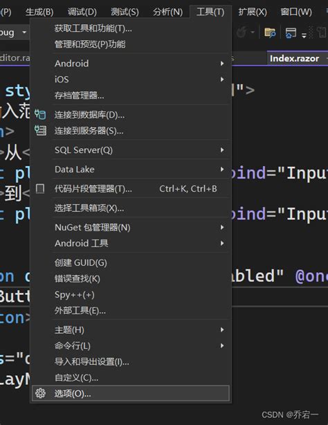 Visual Studio Vs Csdn