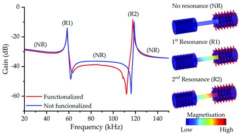 Frequency Spectra Of The Transducer With And Without The Sensitive Download Scientific Diagram