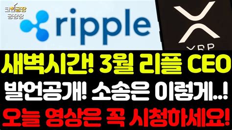 리플 새벽시간3월 리플ceo 발언공개소송은 이렇게 오늘 영상은 꼭 시청하세요 Youtube