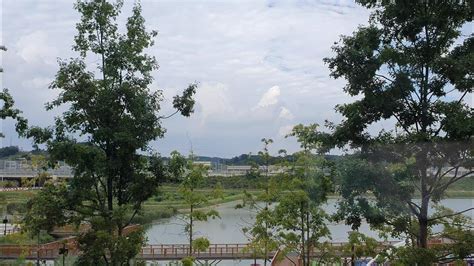 카페에서 본 Youtube