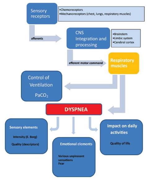RAMR Volume 23 Number 2 Series On Dyspnea Part 1 Definitions