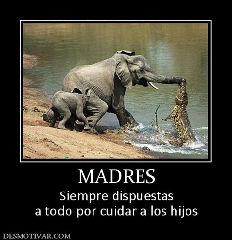 Post Dedicado A Las Madres Taringa